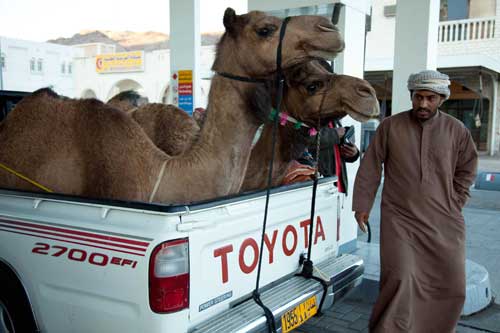 Alpenglow Pictures - John Catto