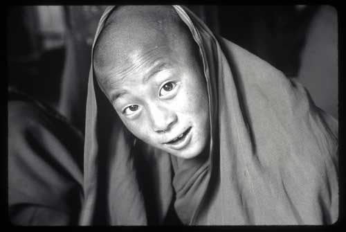 Alpenglow Pictures - John Catto