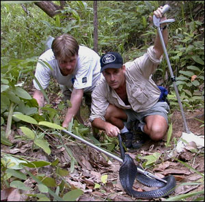 Alpenglow Pictures - John Catto